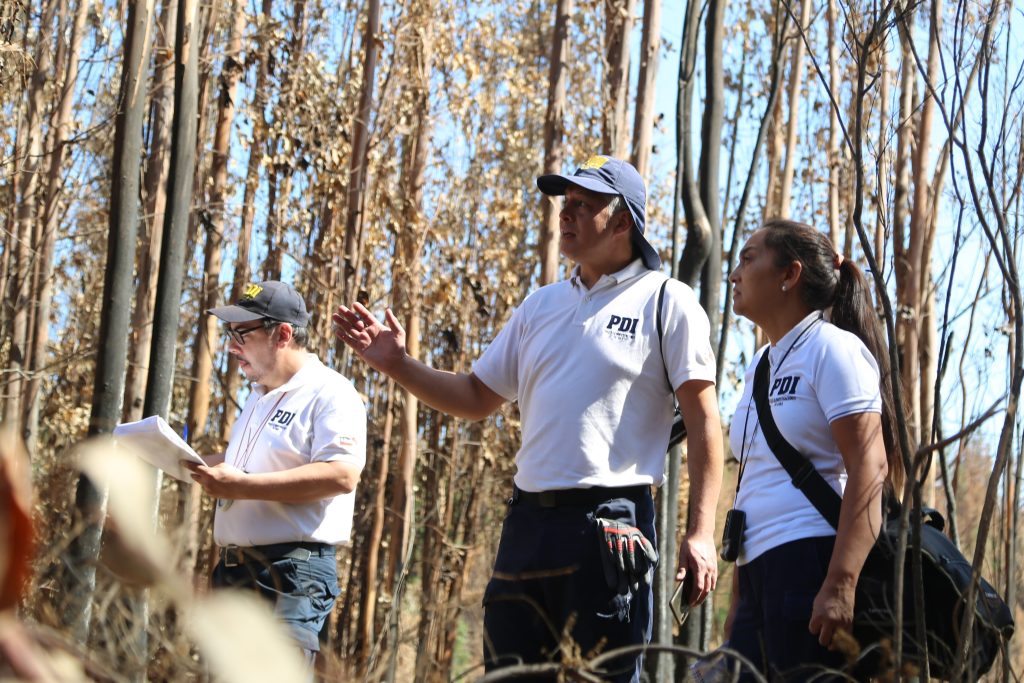 PDI Ñuble despliega fuerza de tarea para investigar incendios forestales